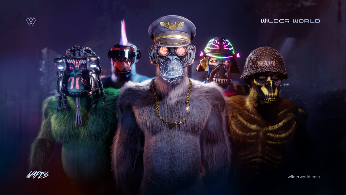 The New Era of Beasts is Here: Introducing Wilder Wapes